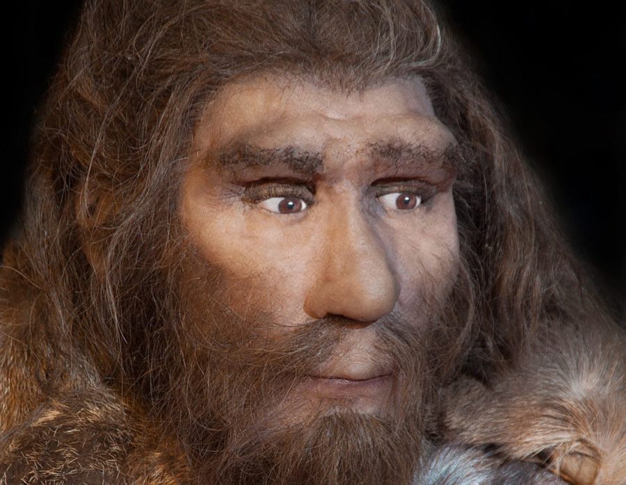 Paléontologie L Homme De Néandertal Notre Cousin Pas Si Lointain