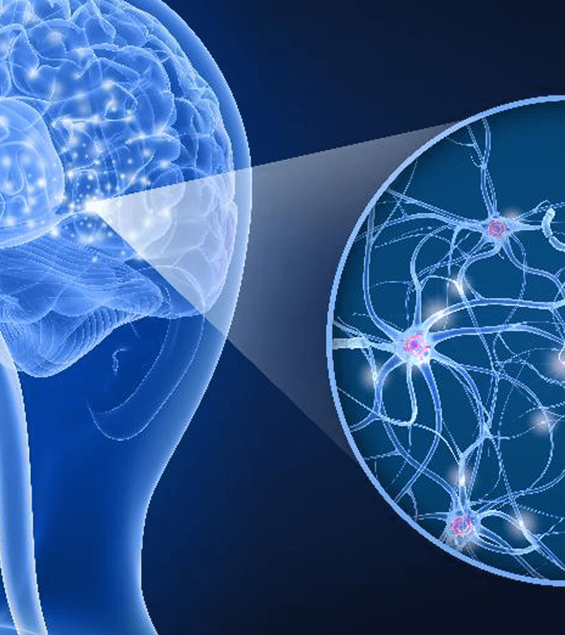 Quels sont les gènes qui nous rendent humains