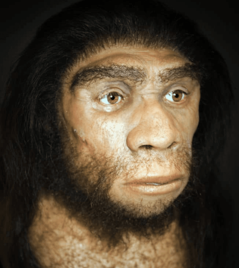 Pourquoi l’homme de Néandertal avait-il un gros nez