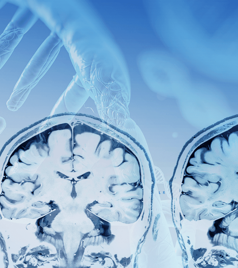 Quels sont les gènes zombies qui s’activent dans le cerveau après la mort?