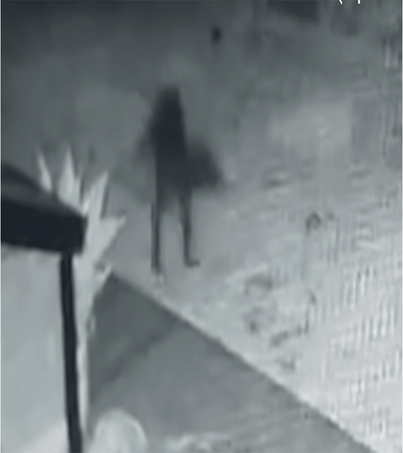 Une caméra de sécurité aurait-elle filmé un chien fantôme