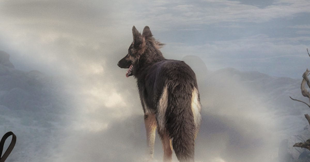 Le fantôme d’un chien hanterait un chapelle du XVIIe siècle - BTLV