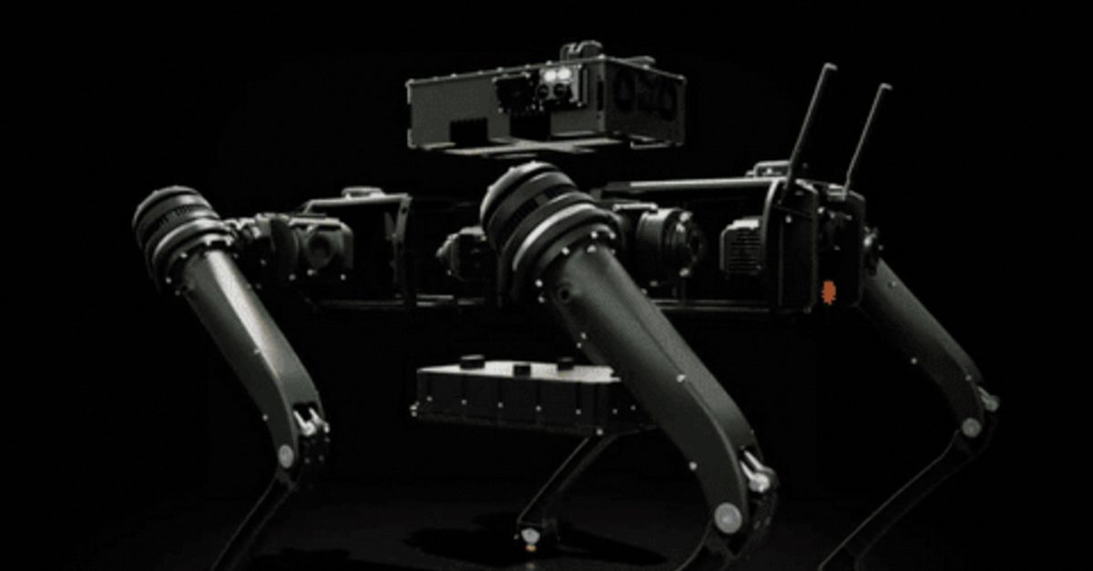 L’armée française et son futur robot-chien - BTLV