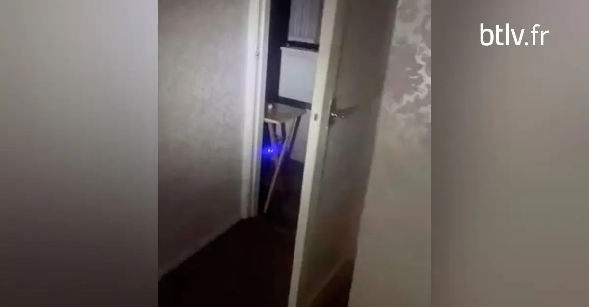 Paranormal : un couple assiste à une étrange manifestation paranormale ...